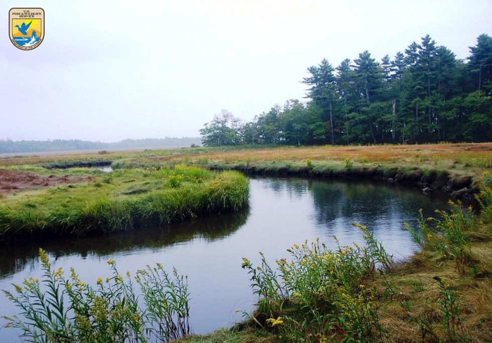 Rediscovering Southern Maine’s History: The Best Trails to Explore ...